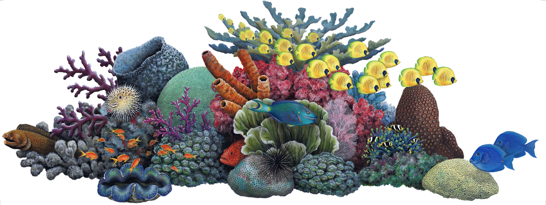 Coral Reef Wall Decals | Tropical Fish Wall Decals | Ocean Wall Mural ...