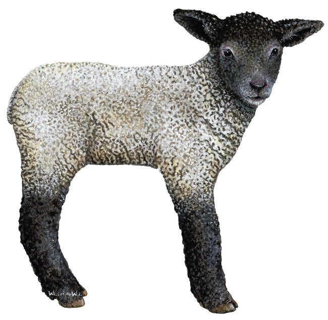 Lamb Wall Decal | Barnyard Wall Decals | Nursery Wall Decals – Wall of ...