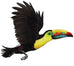 Toucan Wall Decal | Jungle Wall Decals | Tropical Wall Decals – Wall of ...